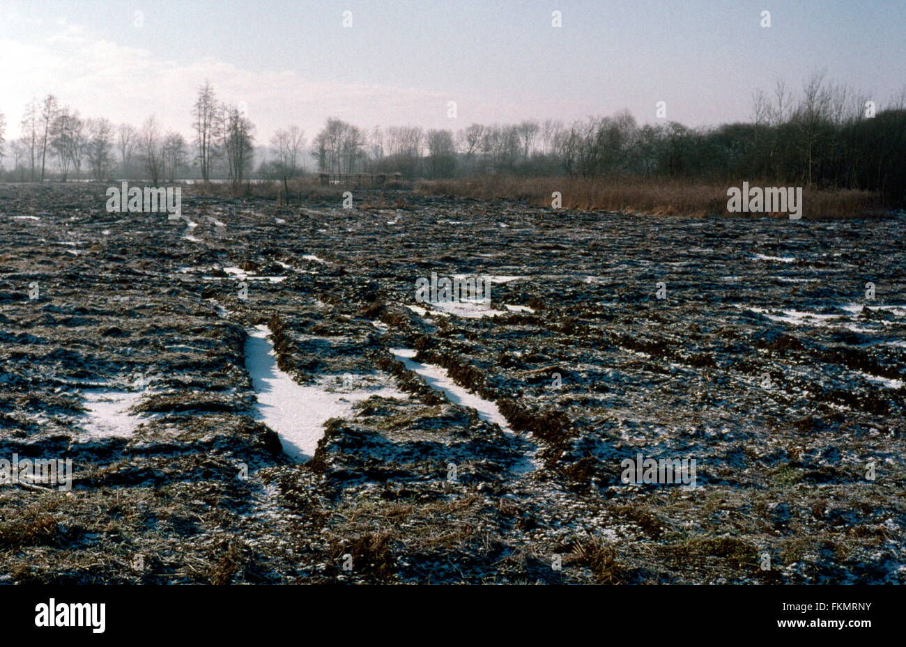 AJAXNETPHOTO. SAILLY LE SEC (NEAR), FRANCE. - SOMME MUD - LANDSCAPE ...