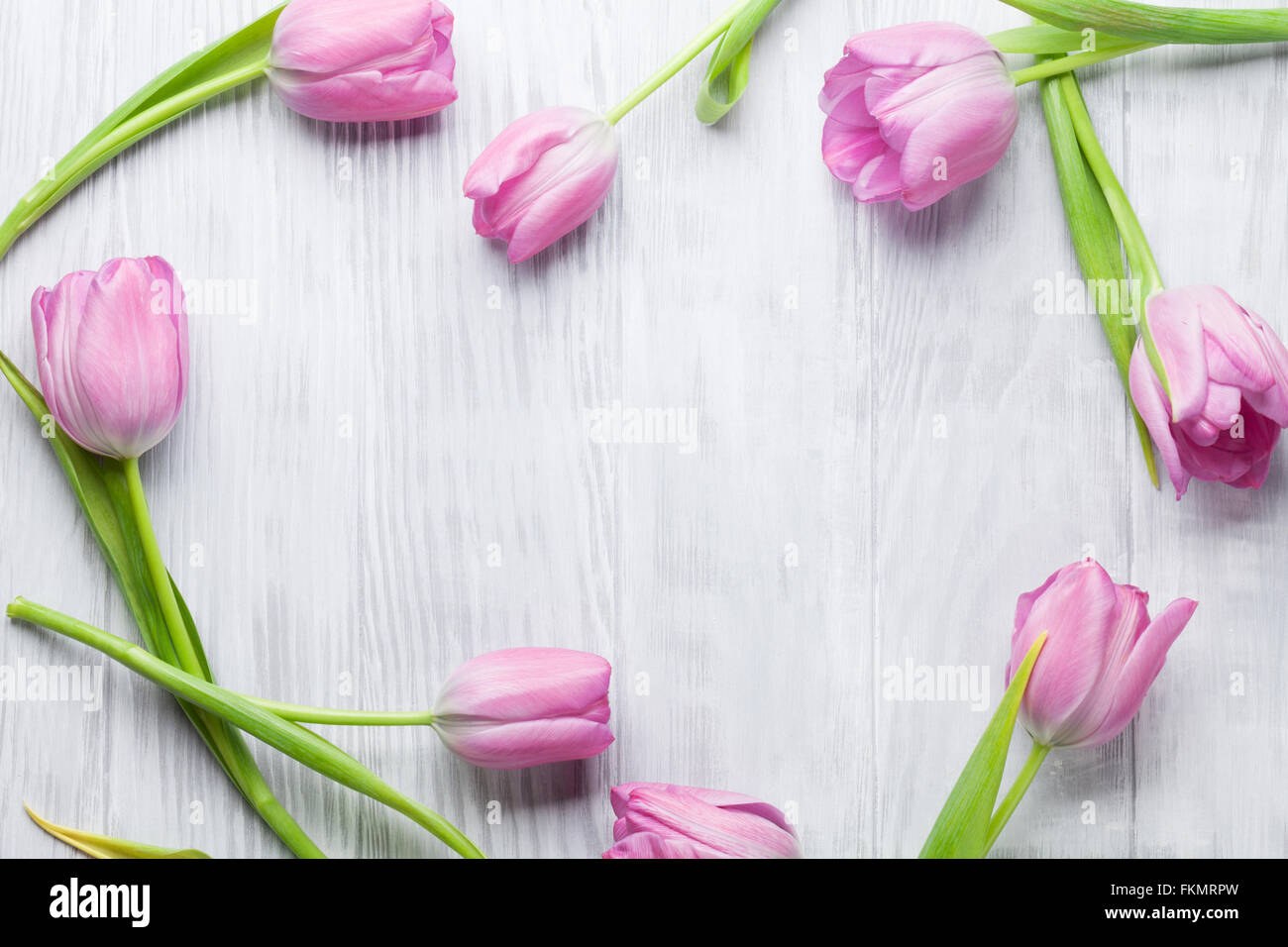 Top view tulip flowers hi-res stock photography and images - Alamy
