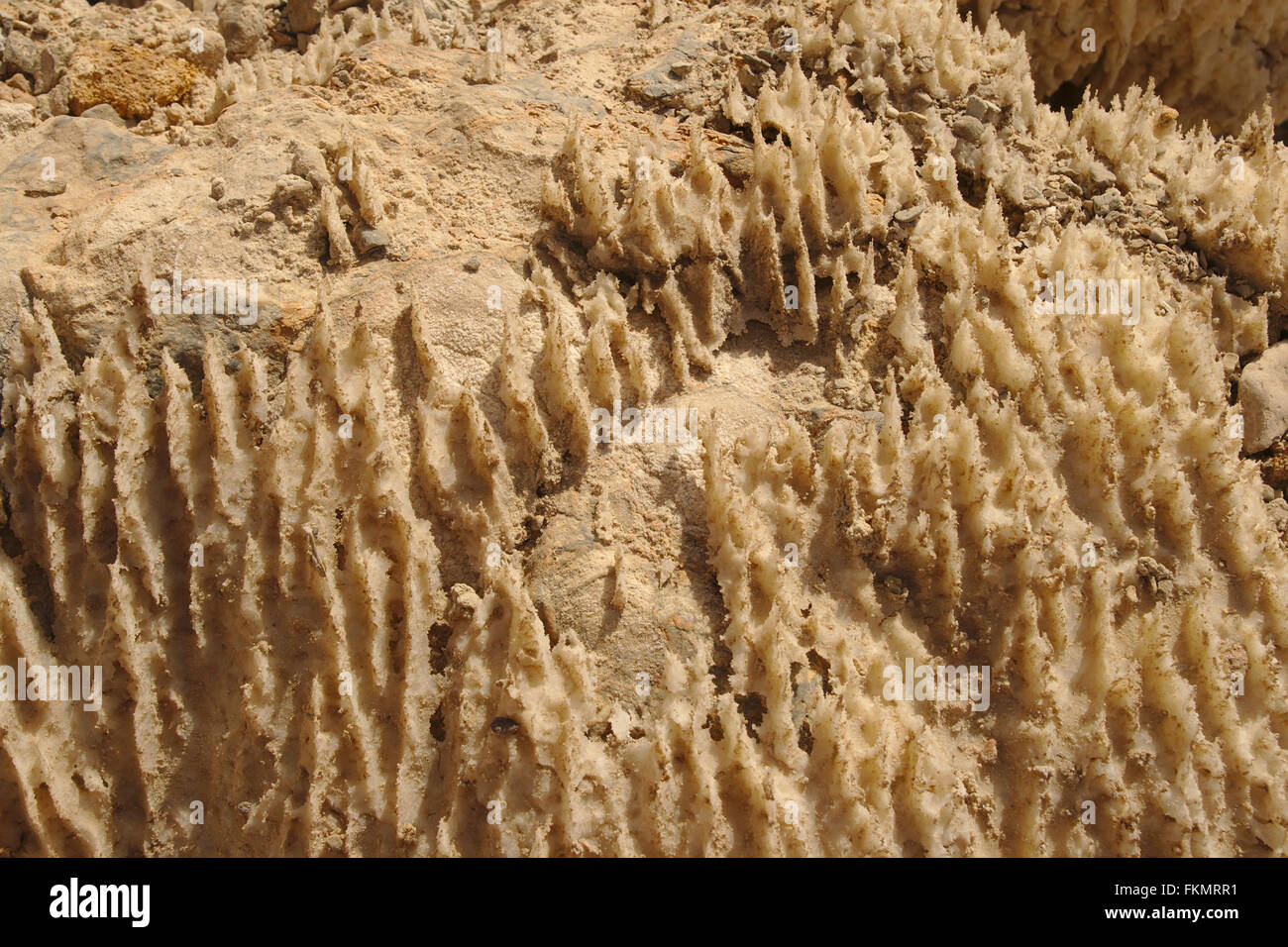 Salt deposits on the shore of the Dead Sea, Wadi Mujib Reserve, Jordan ...