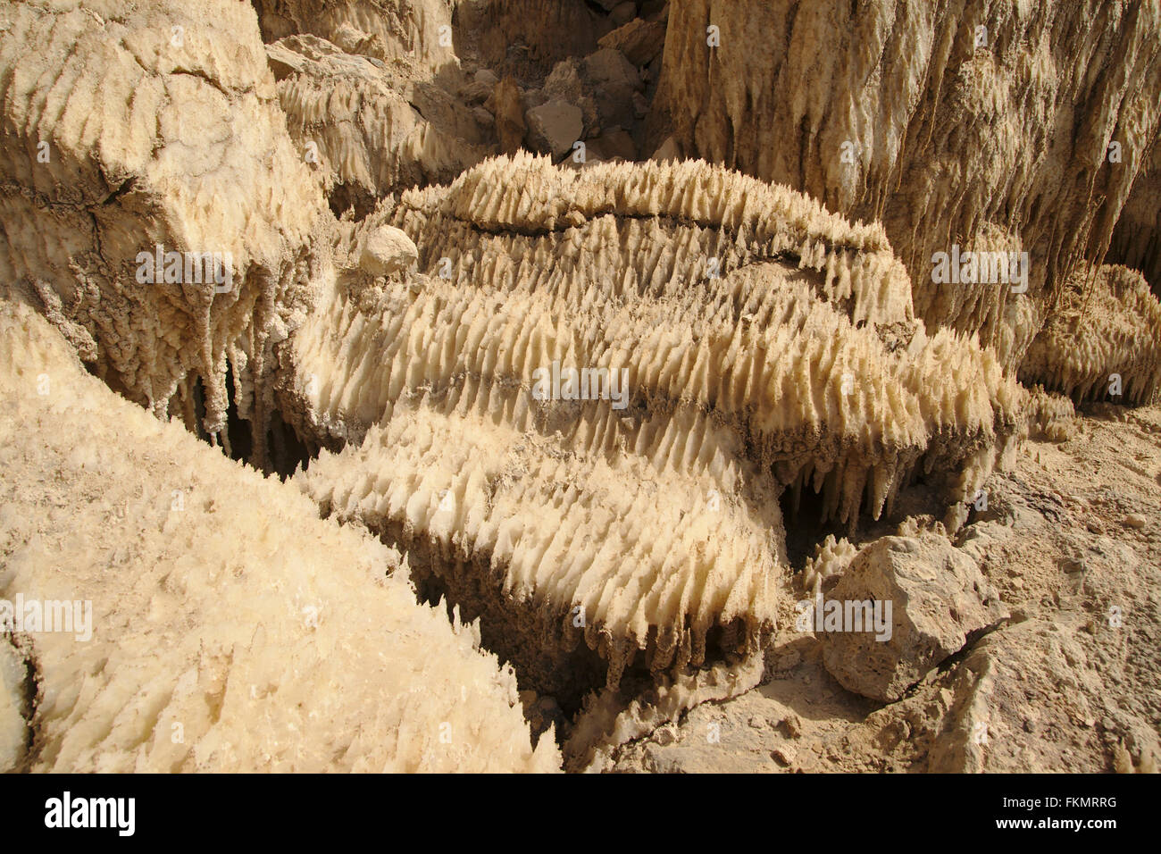 Salt deposits on the shore of the Dead Sea, Wadi Mujib Reserve, Jordan ...