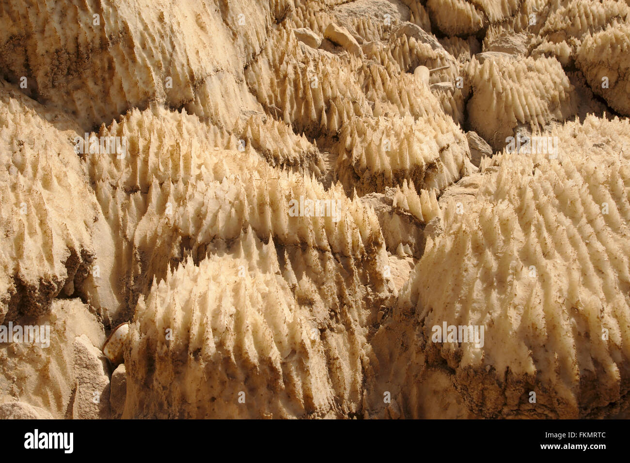 Salt deposits on the shore of the Dead Sea (note the tin can), Wadi ...