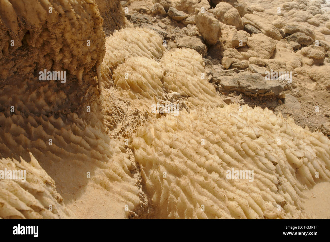 Salt deposits on the shore of the Dead Sea, Wadi Mujib Reserve, Jordan ...