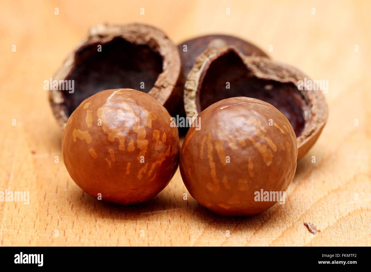 Macadamia seeds hi-res stock photography and images - Alamy