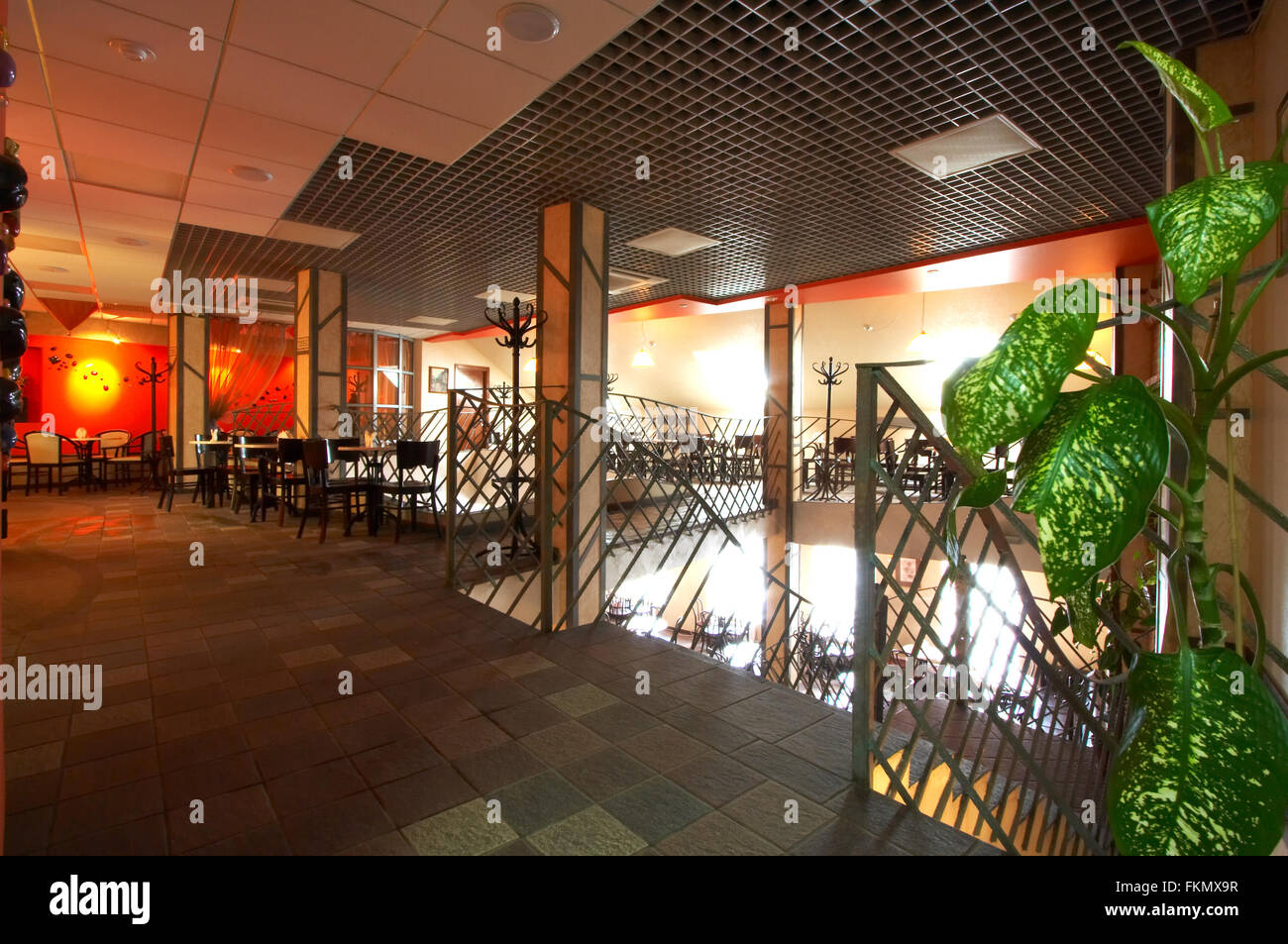 Beautiful modern cafe with an ornamental plant Stock Photo - Alamy