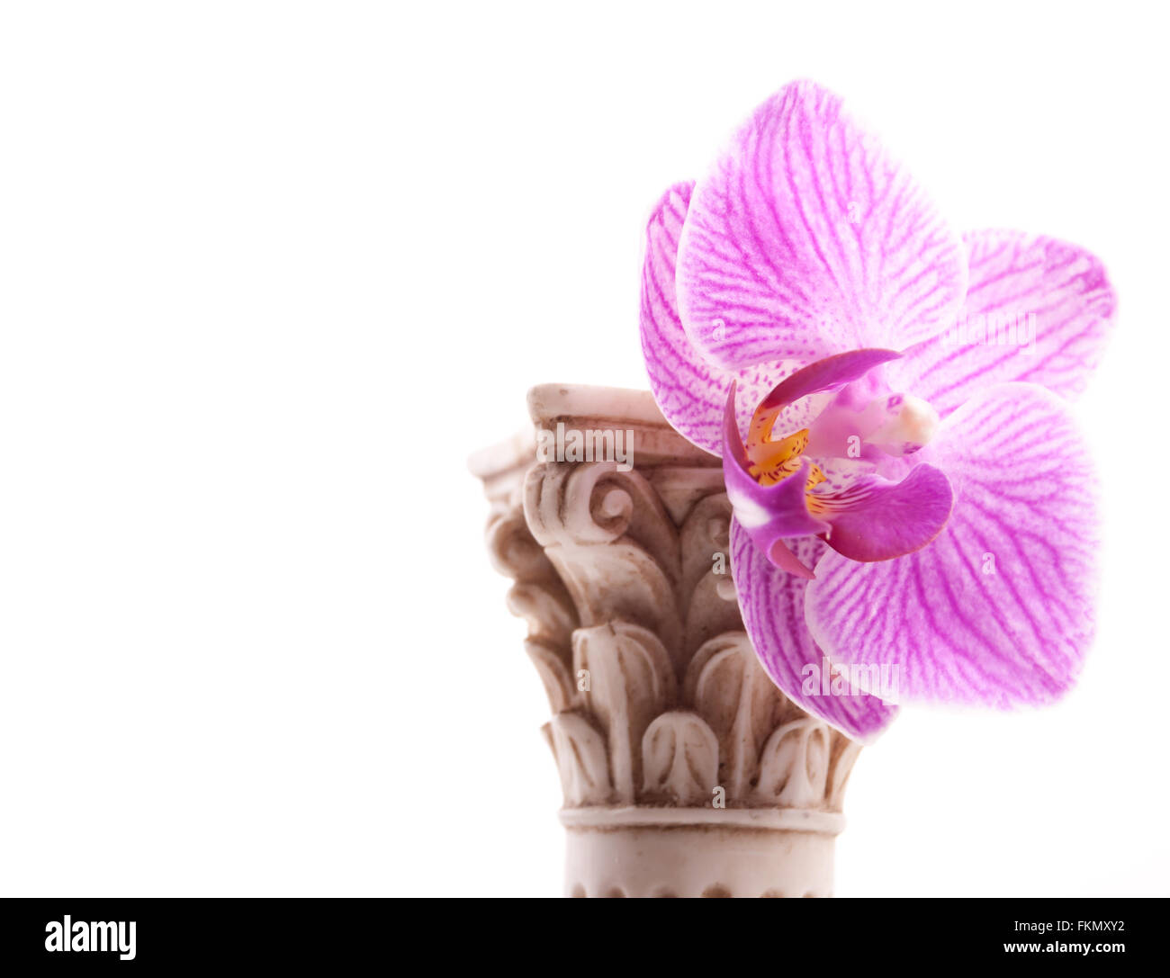 Classical column with flower Stock Photo - Alamy