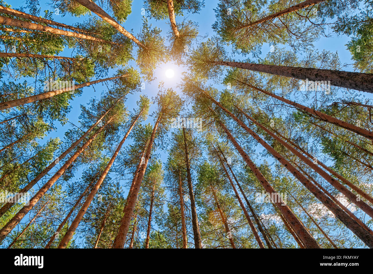 Midnight sun light up hi-res stock photography and images - Alamy