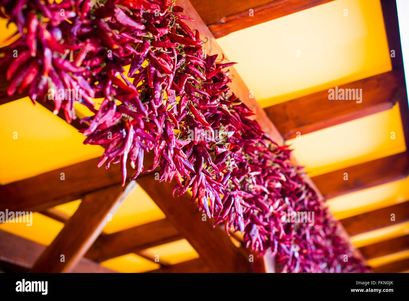 Red hungarian pepper, traditional Stock Photo - Alamy