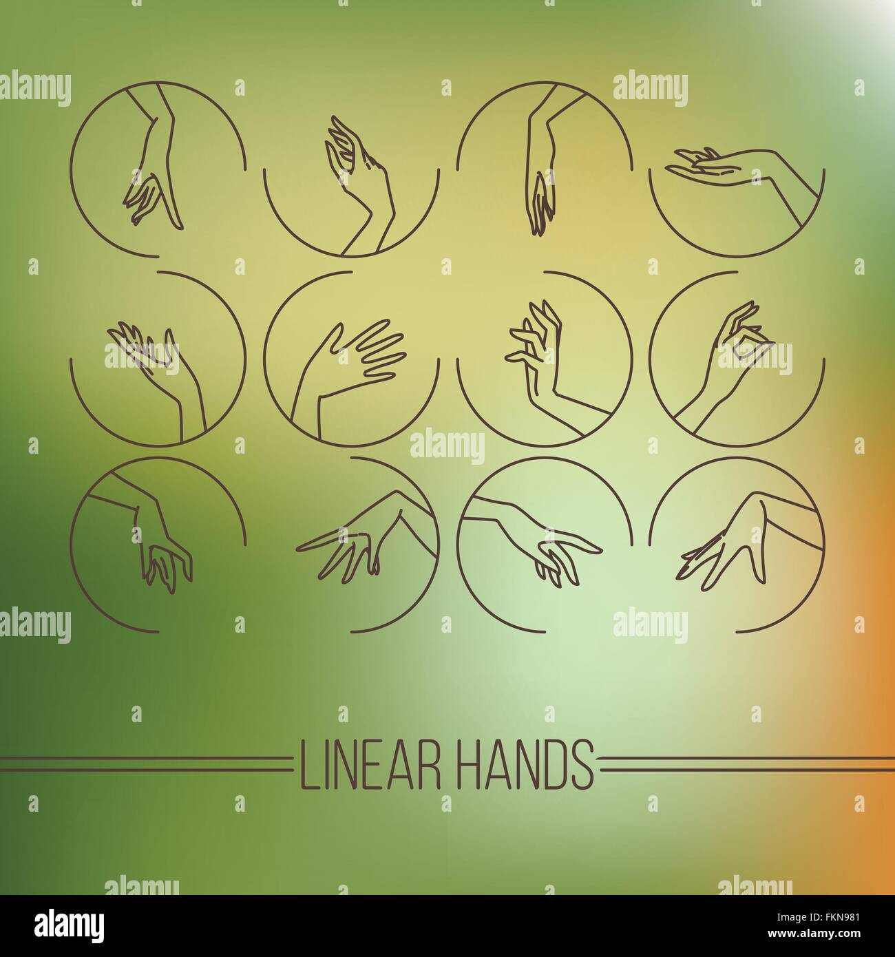 Set of vector icons of linear mapping graceful female hands Stock ...