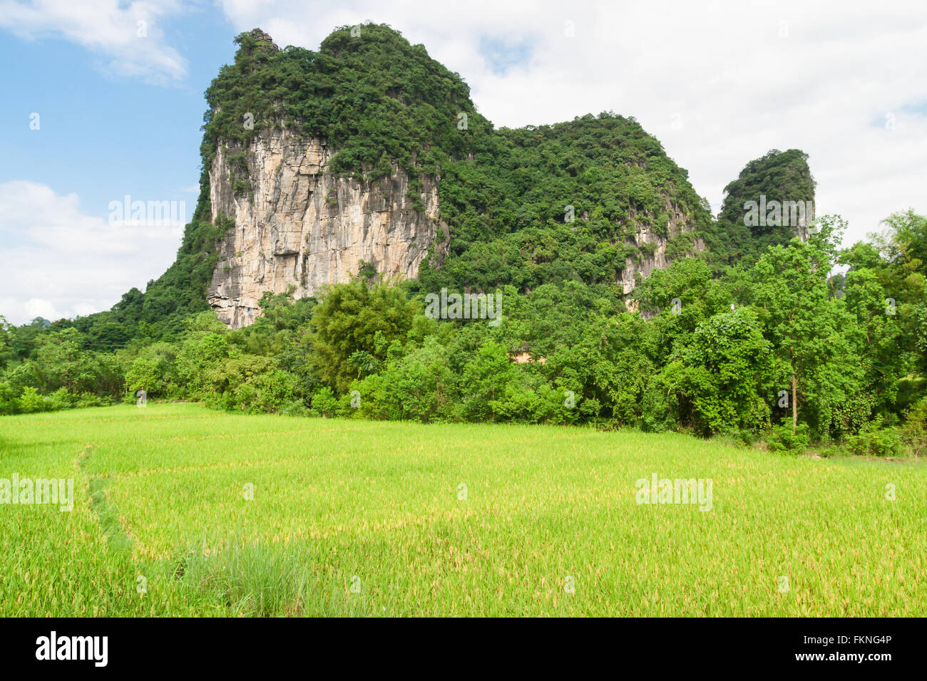 Karst mountain cliff overgrown vegetation Stock Photo - Alamy