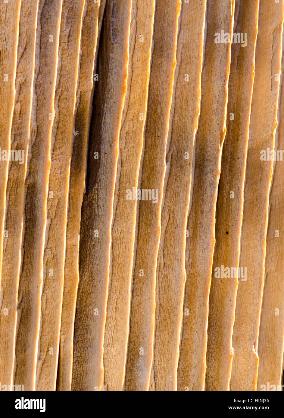 Deep grain wood texture hi-res stock photography and images - Alamy