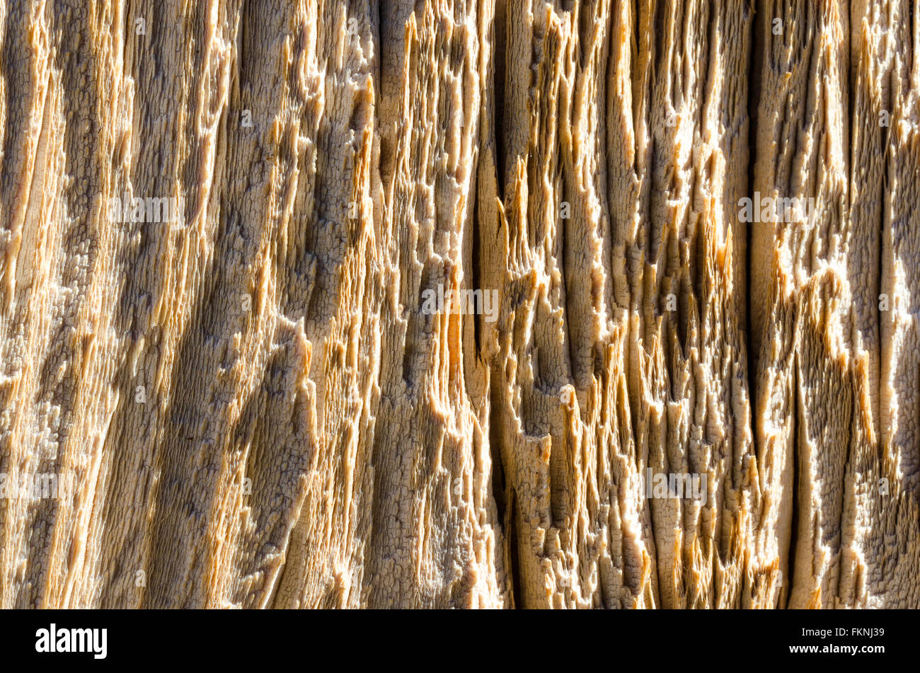 Aged wood grain pattern hi-res stock photography and images - Alamy