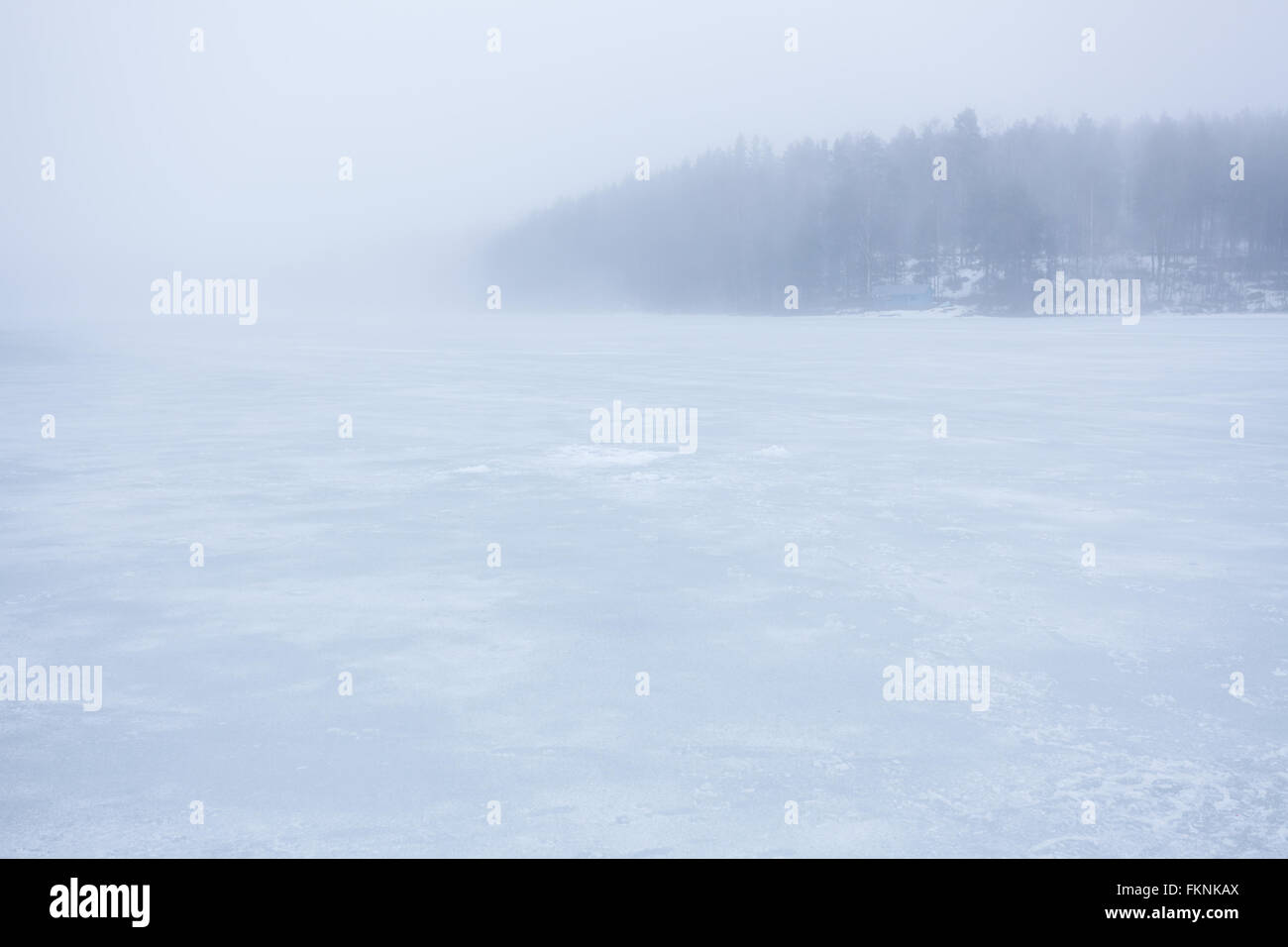 Thick fog at frozen lake landscape Stock Photo - Alamy