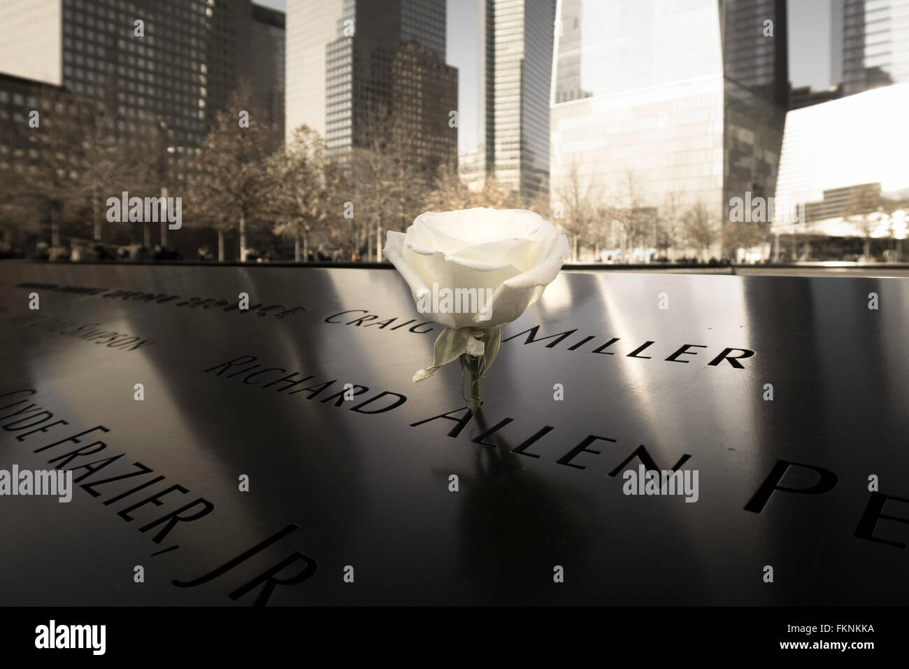 White Rose, WTC Footprint Pool, Waterfalls and Wall of Names, The ...