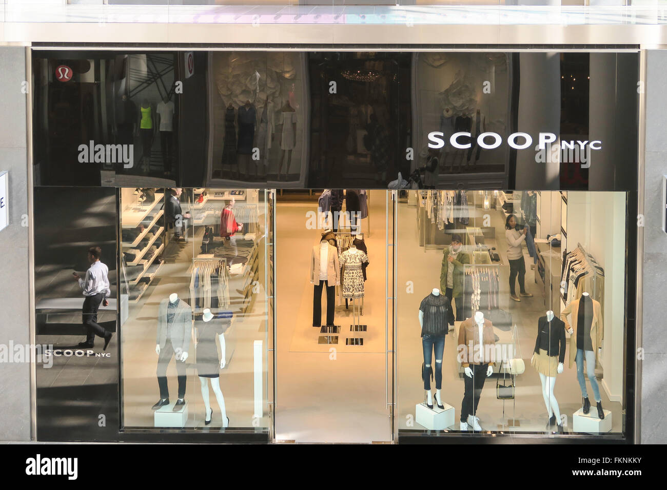 Scoop Nyc