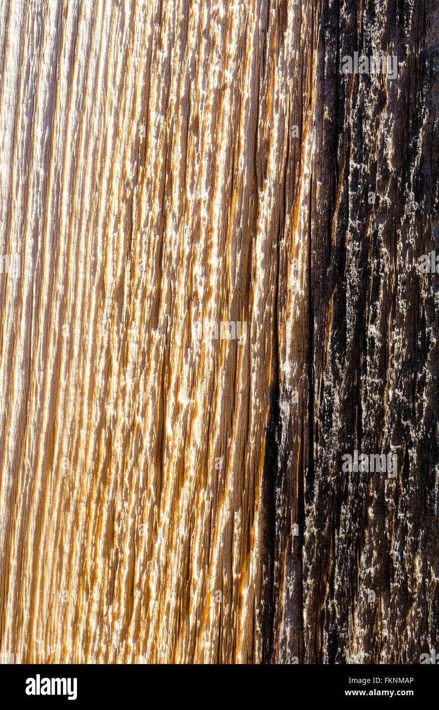 Old weathered wood fence plank with coarse wood grain Stock Photo - Alamy