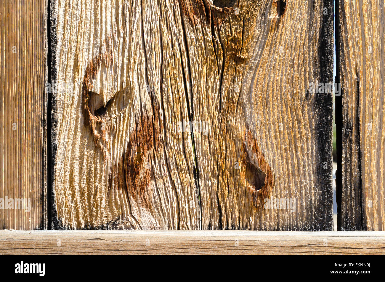 Coarse wood grain hi-res stock photography and images - Alamy