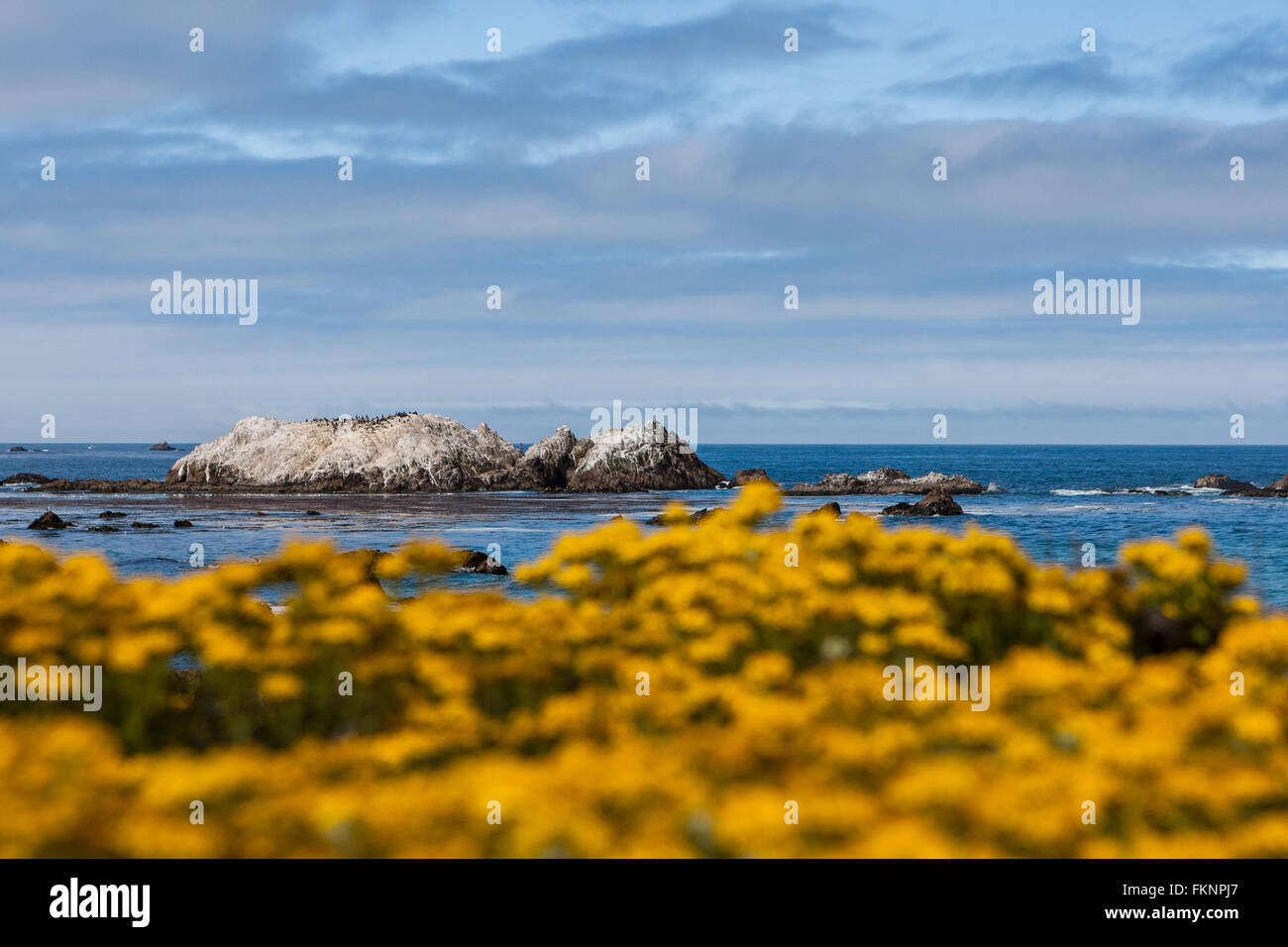 Bird Rock, 17 Mile Drive, California, USA - July 1, 2012: The 17 Mile ...