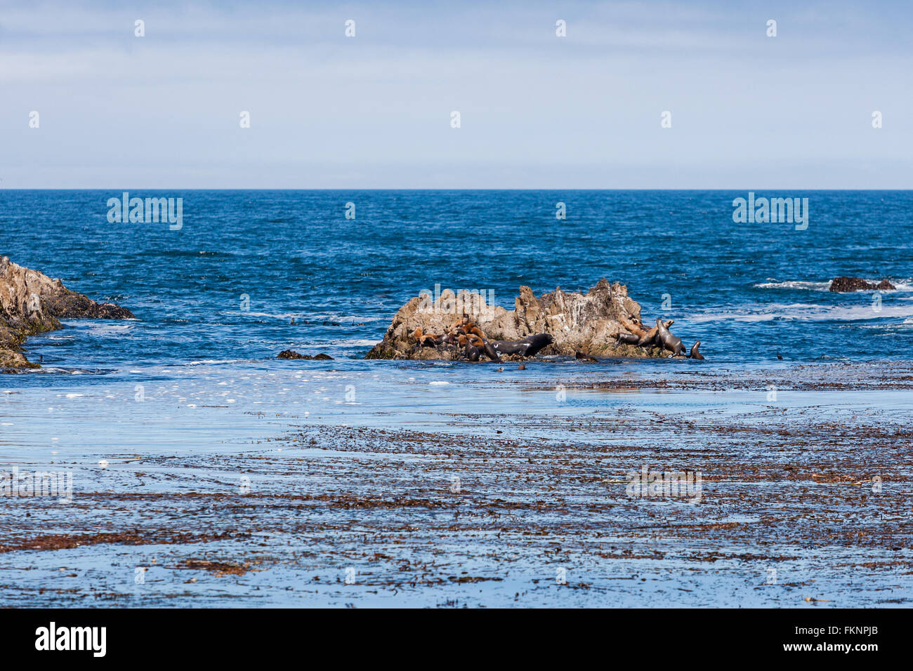 17 july 1 hi-res stock photography and images - Alamy