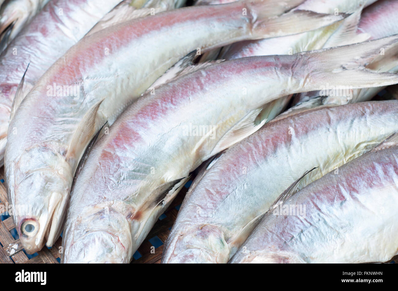 Dry preserved silver fishes in seafood market Stock Photo - Alamy