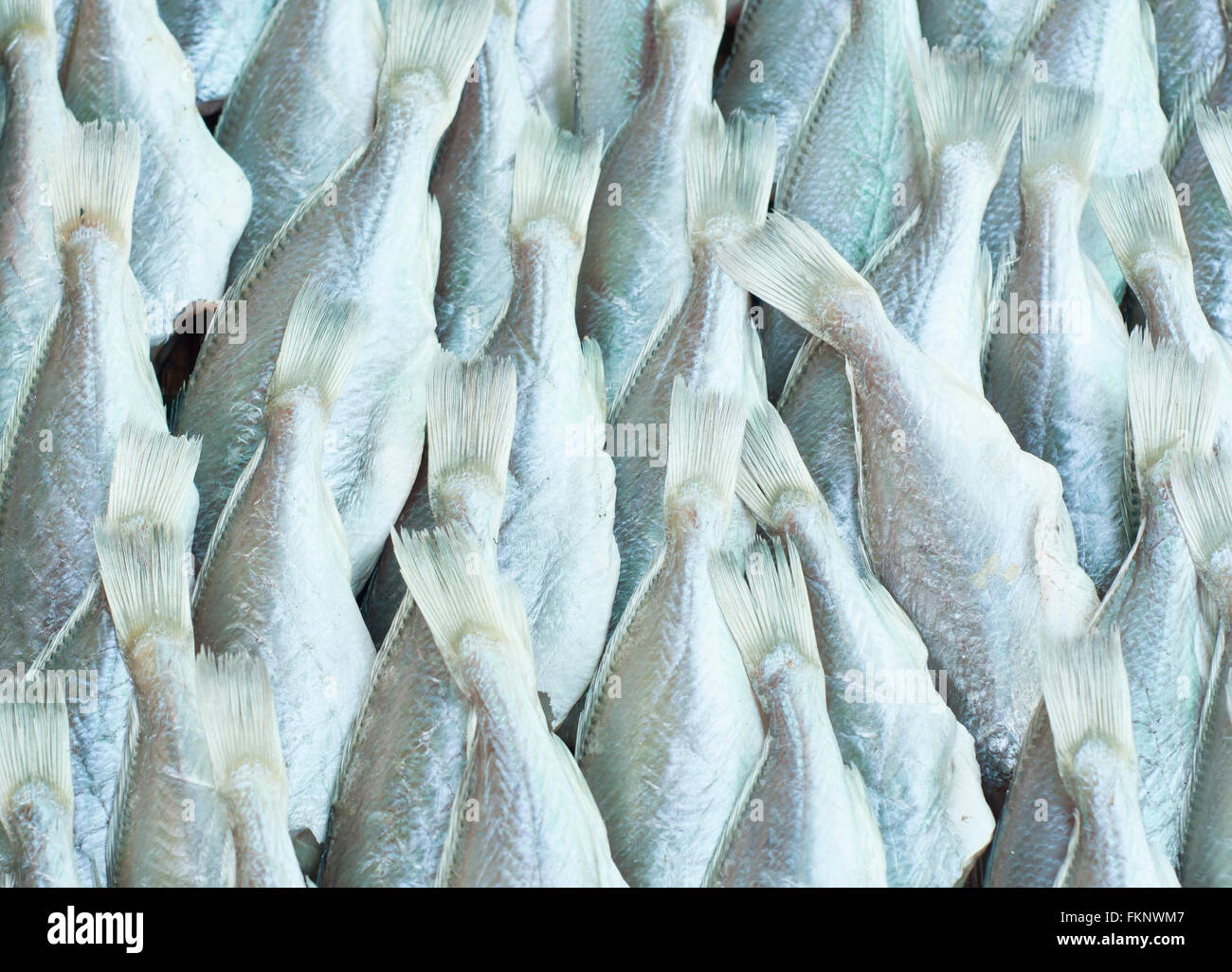 Dry preserved silver fishes in seafood market Stock Photo - Alamy