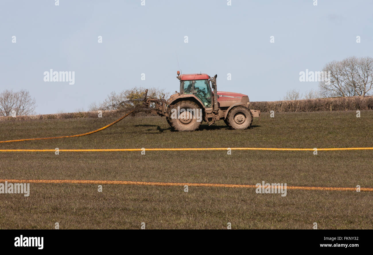 Tractor putting,spraying manure,muck spreading on field near National ...