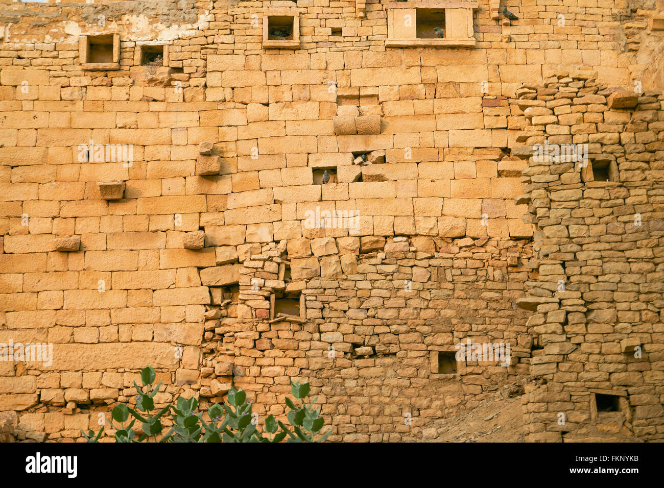 Classic wall patern in the Fort of jaisalmer, India Stock Photo - Alamy