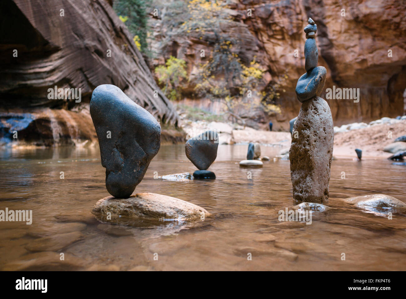 Rock stacks along the Zion Narrows water hike in the Virgin River in ...