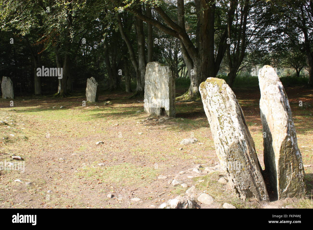 Stone Circle at the Clava Cairns near Culloden, Scotland Stock Photo ...