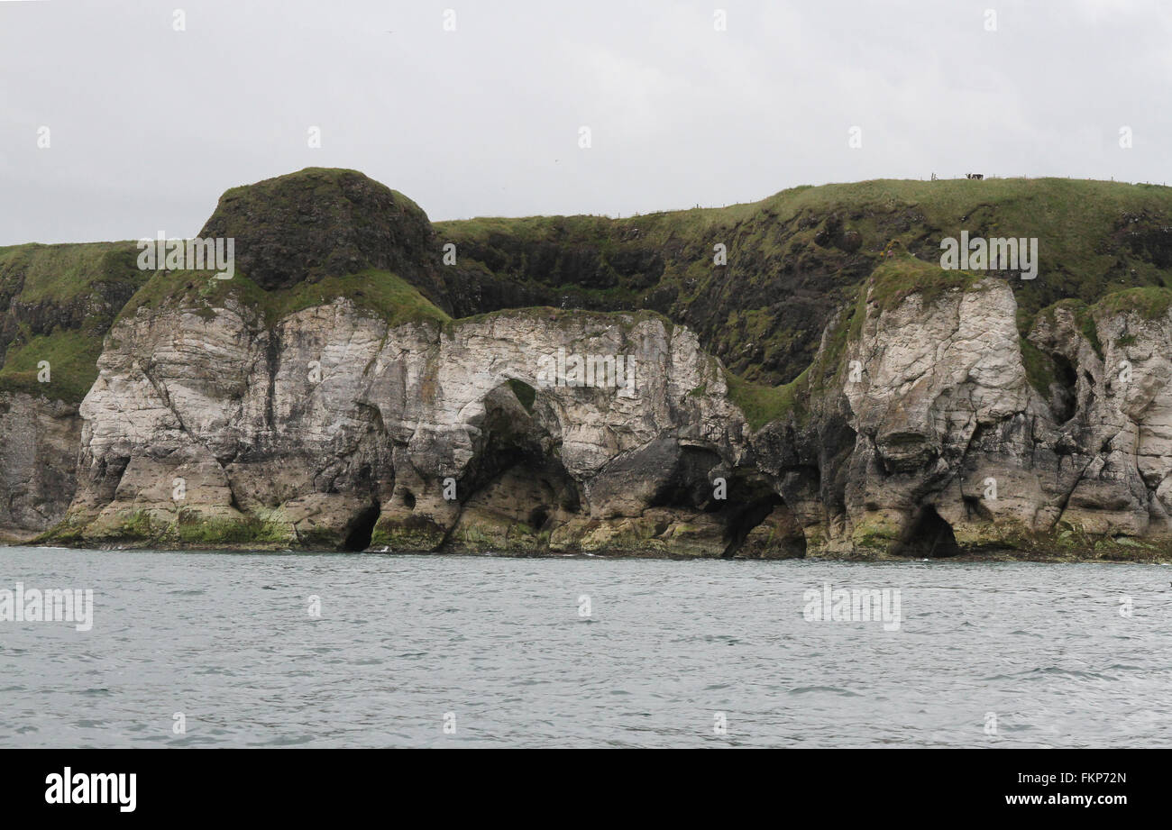 Limestone sea cliffs on north-west coast of Northern Ireland at the ...