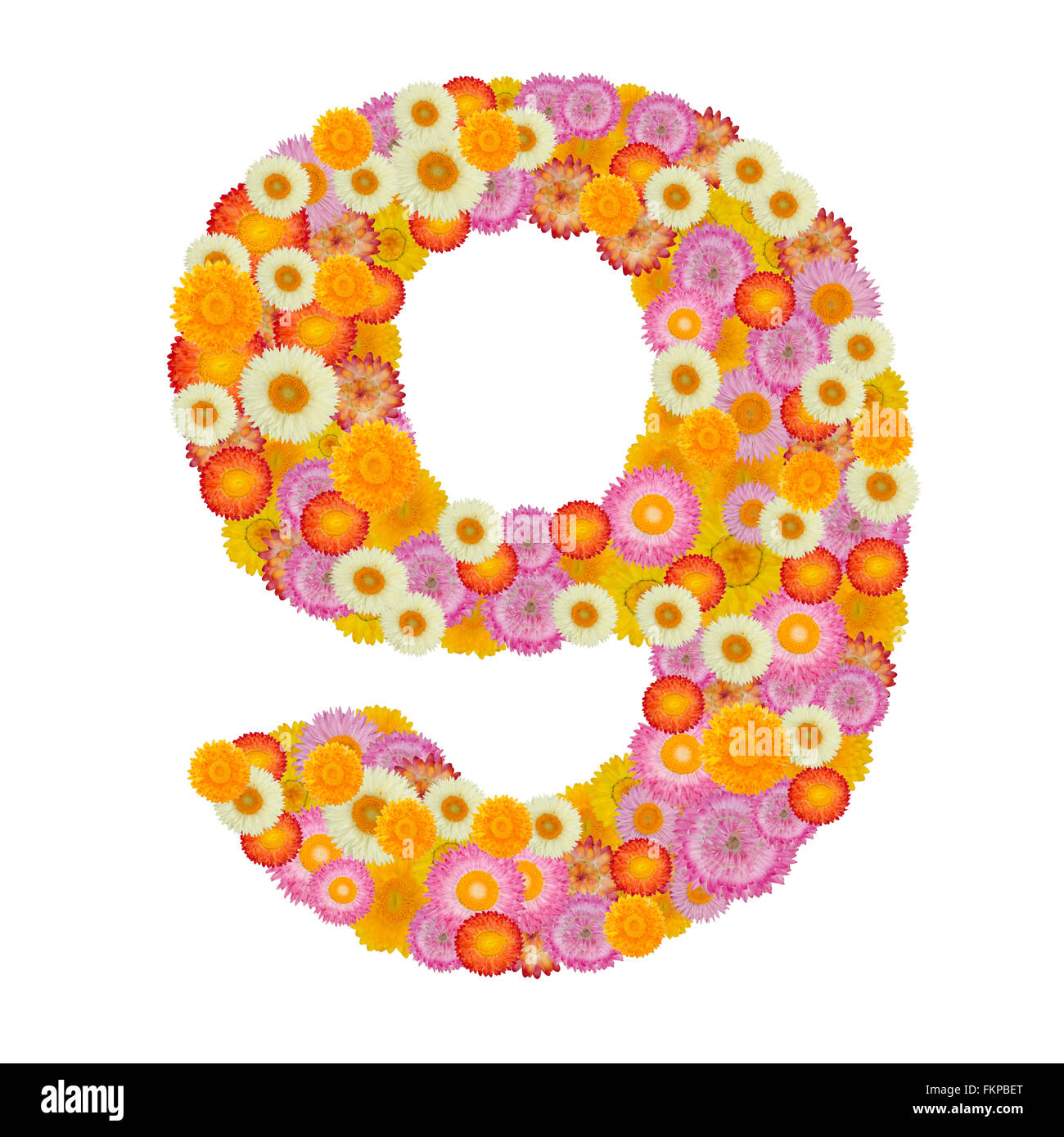 flower number nine. Floral element of colorful alphabet made from straw ...