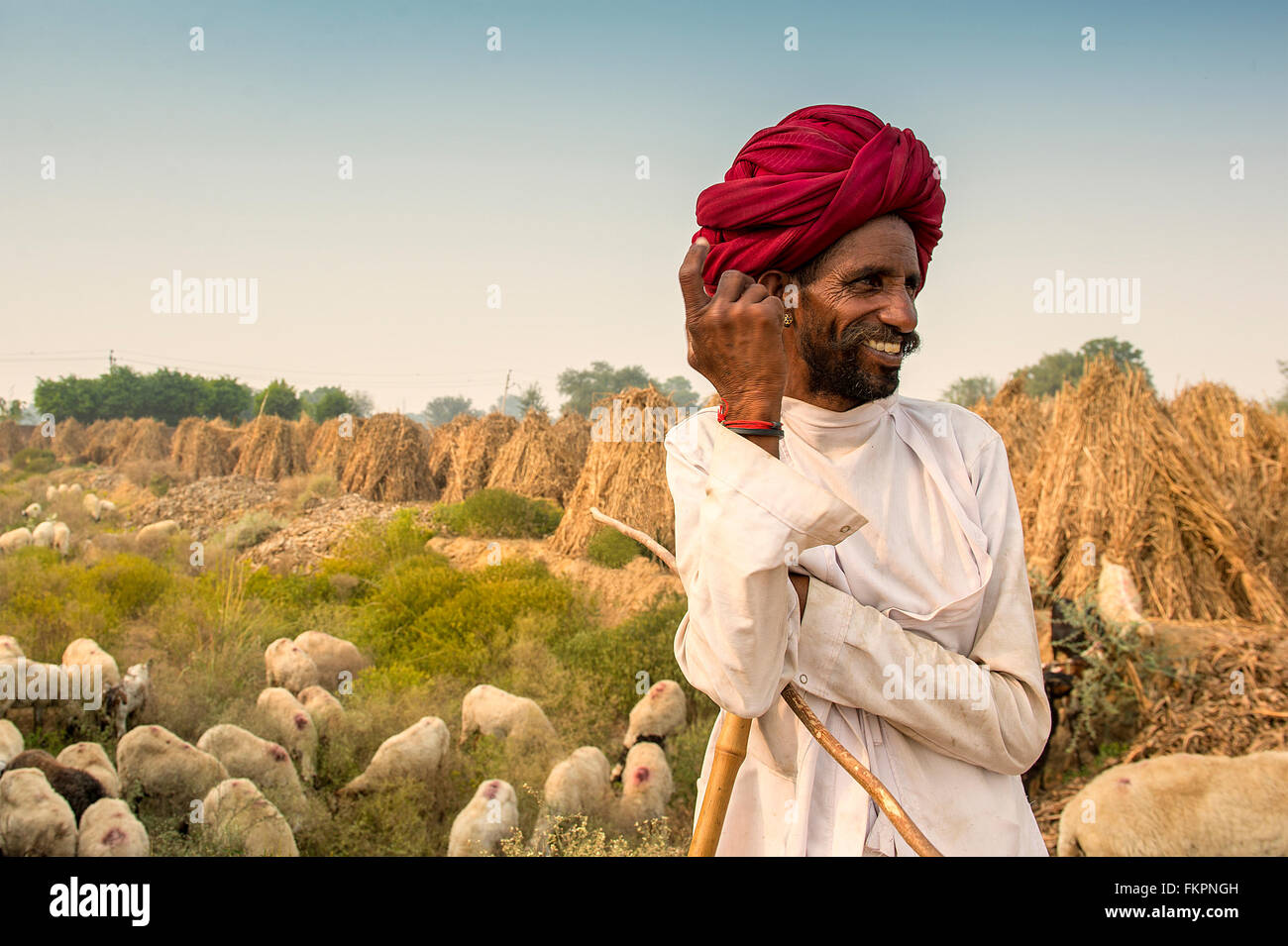 Local indian shepherd in pose for camera in street of Jaipur, India ...