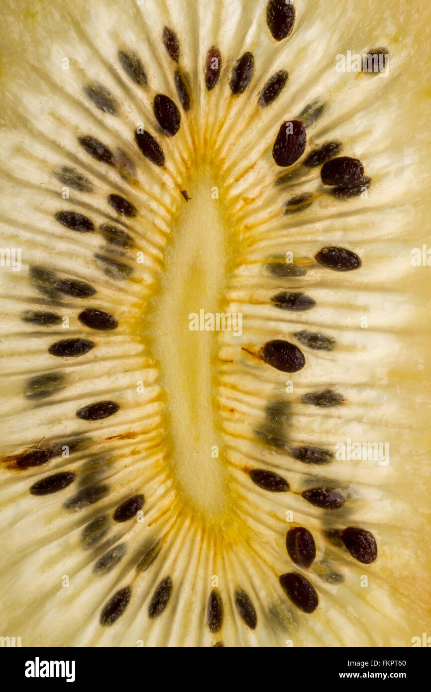 Flesh texture hi-res stock photography and images - Alamy