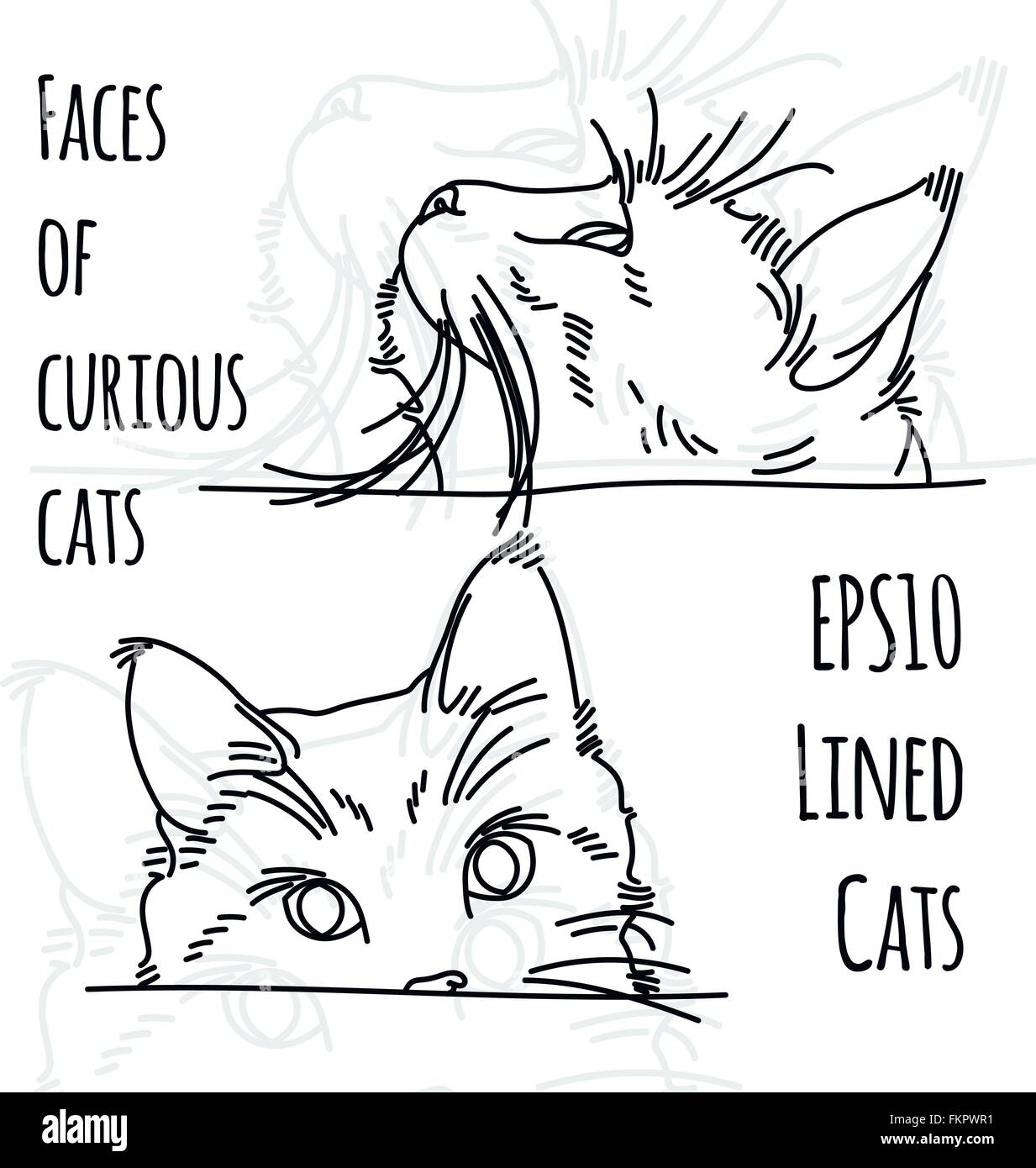 Vector illustration of two curious cat muzzles Stock Vector Image & Art ...