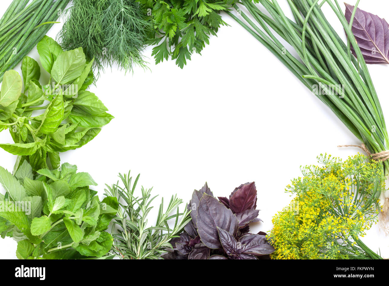 Fresh garden herbs frame. Isolated on white background Stock Photo - Alamy