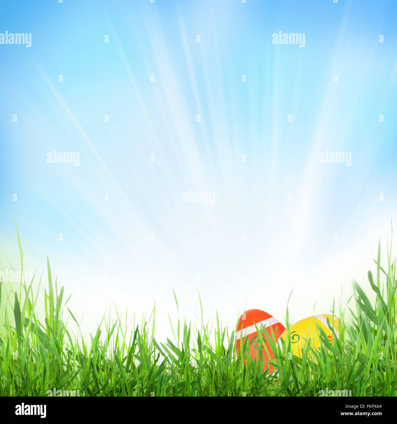 Easter sunny spring background with eggs in grass Stock Photo - Alamy