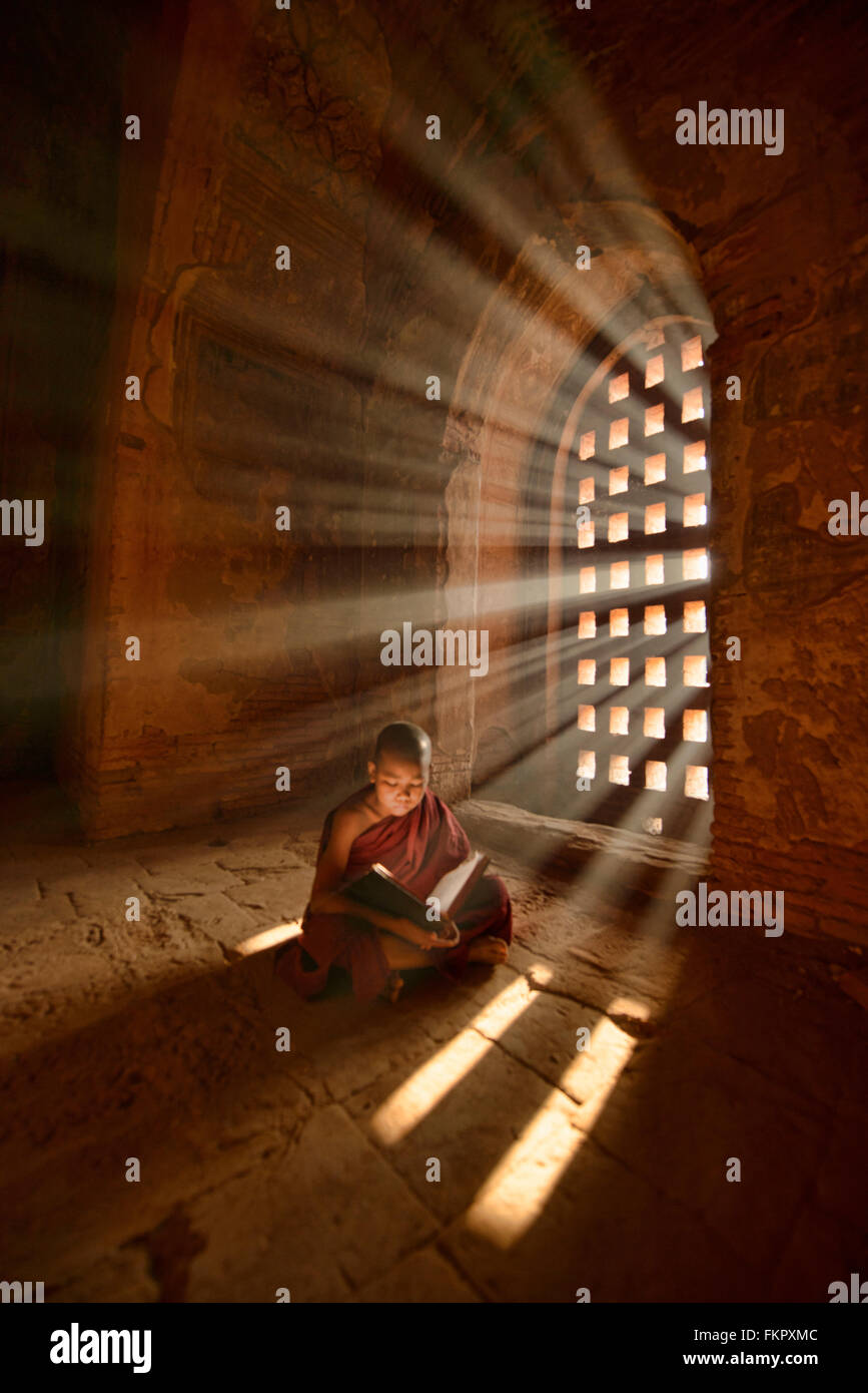 Buddhist monk reading scripture hi-res stock photography and images - Alamy