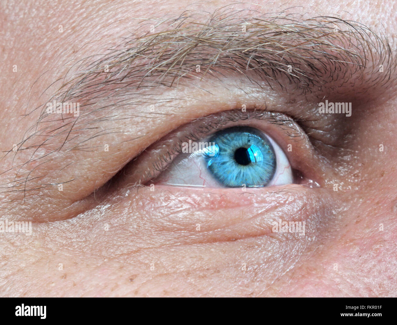 Eye close up human anatomy hi-res stock photography and images - Alamy