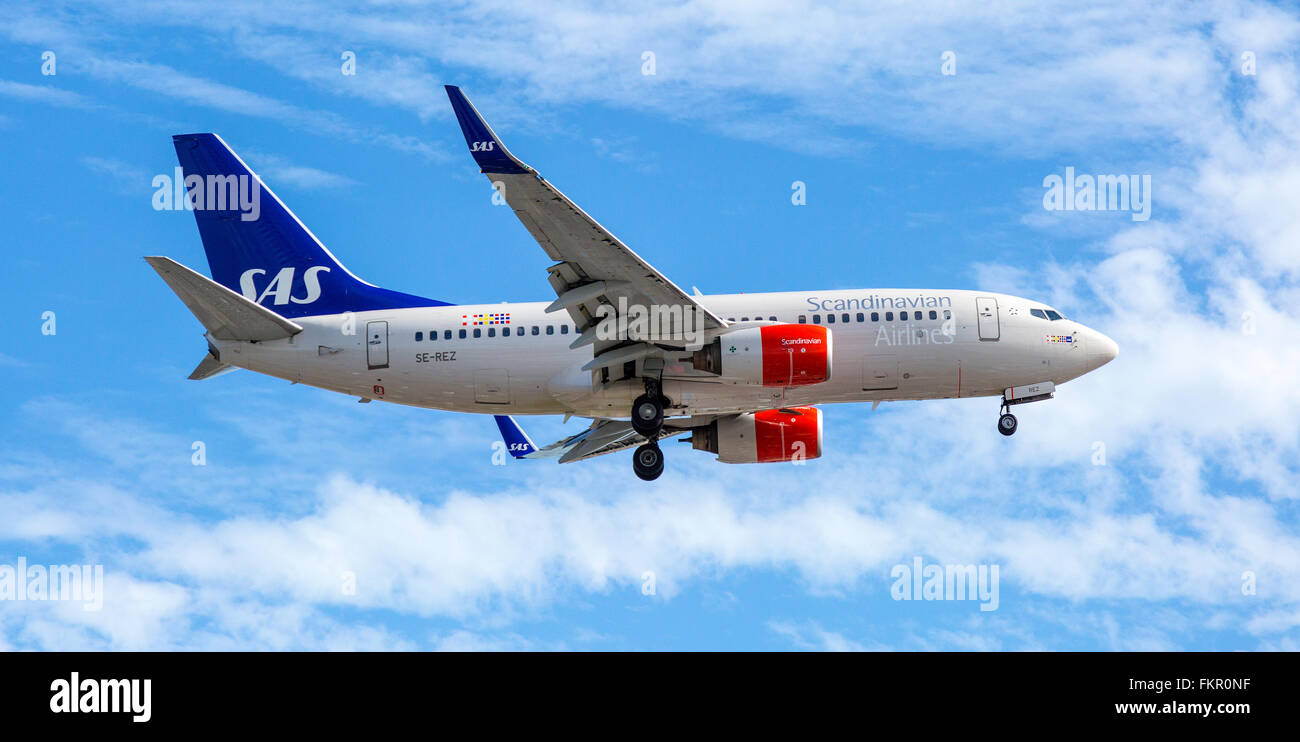 SAS Scandinavia airlines Aeroplane landing at London Heathrow airport ...