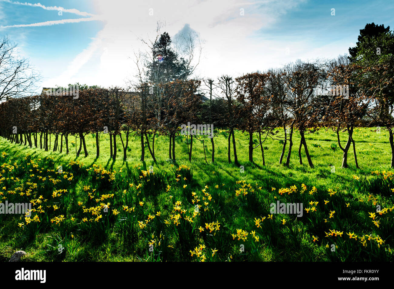 Hyde park beautiful spring hi-res stock photography and images - Alamy