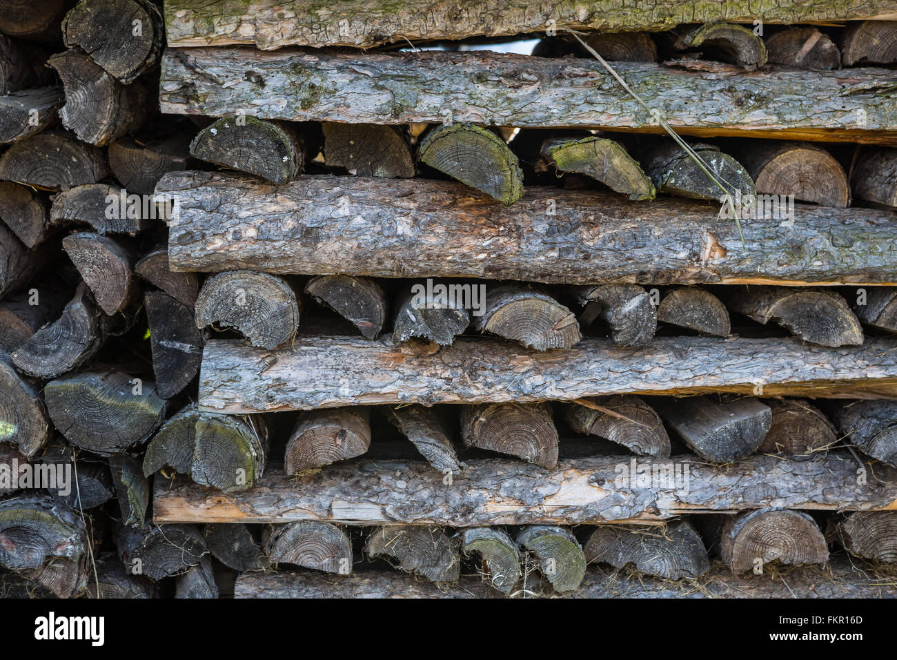 cut wood pile Stock Photo - Alamy