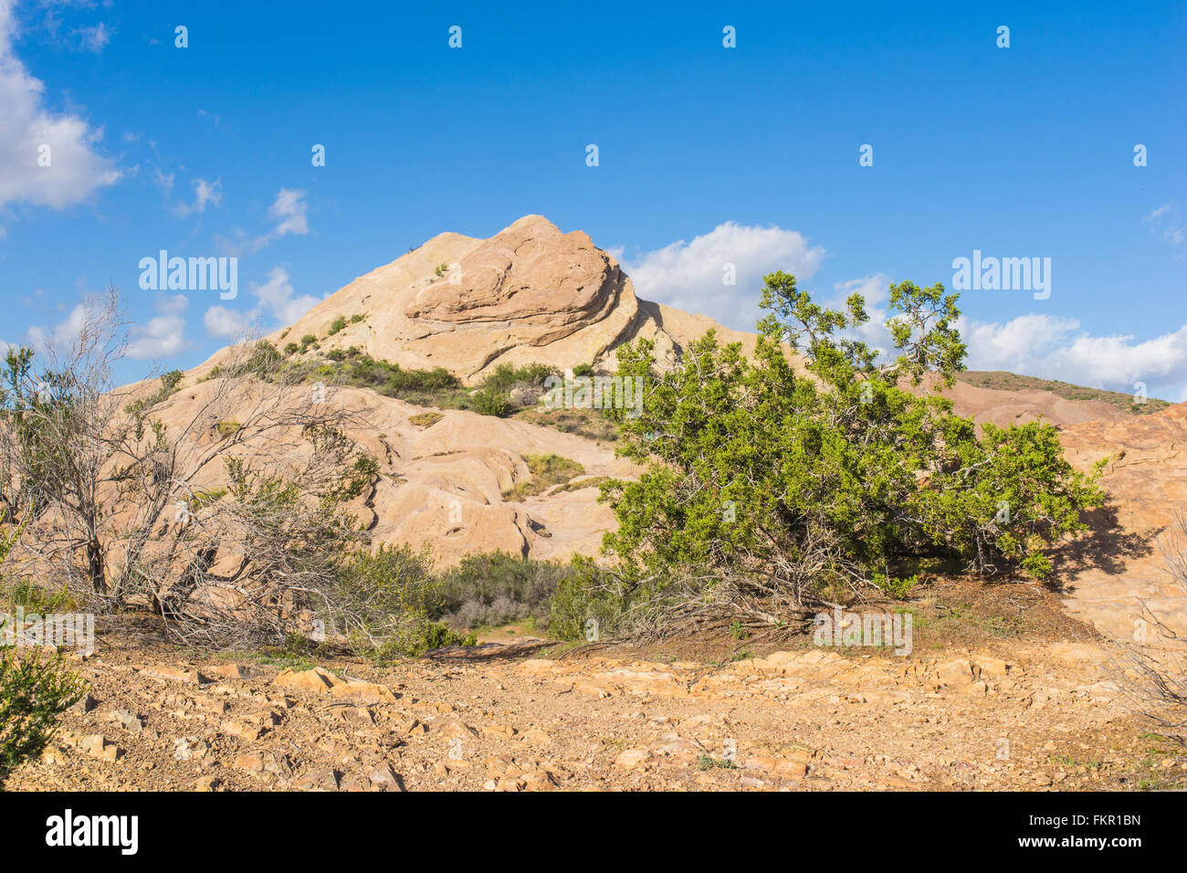 Vasquez rock park hi-res stock photography and images - Alamy