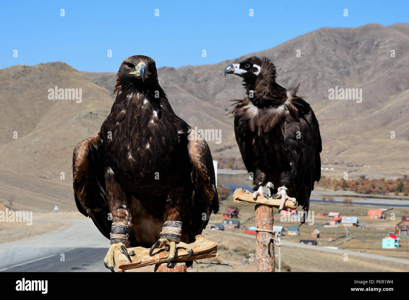 Mongolia trans mongolian train station hi-res stock photography and ...