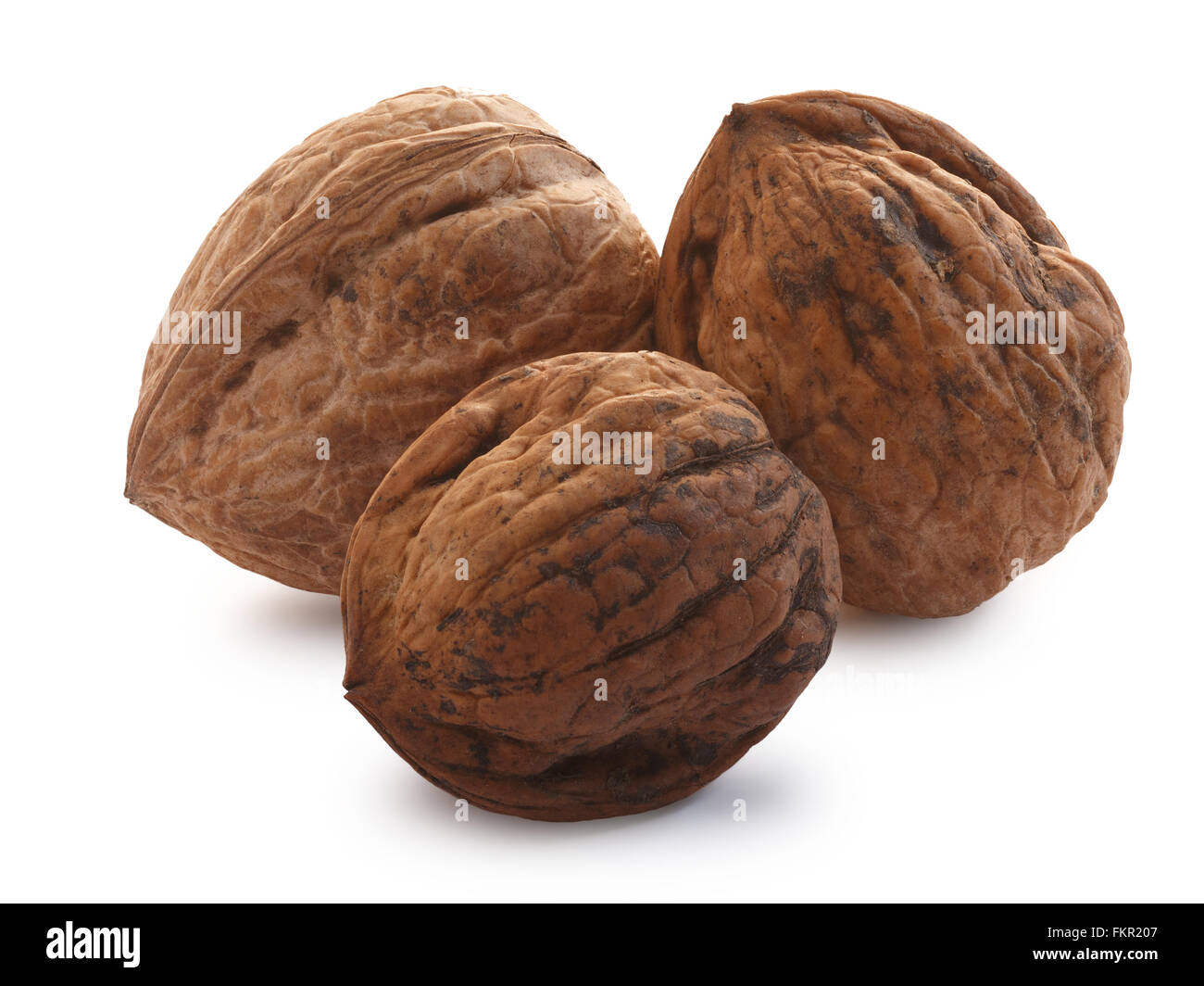 Three shelled whole walnuts (edible seed of tree of Juglans regia ...