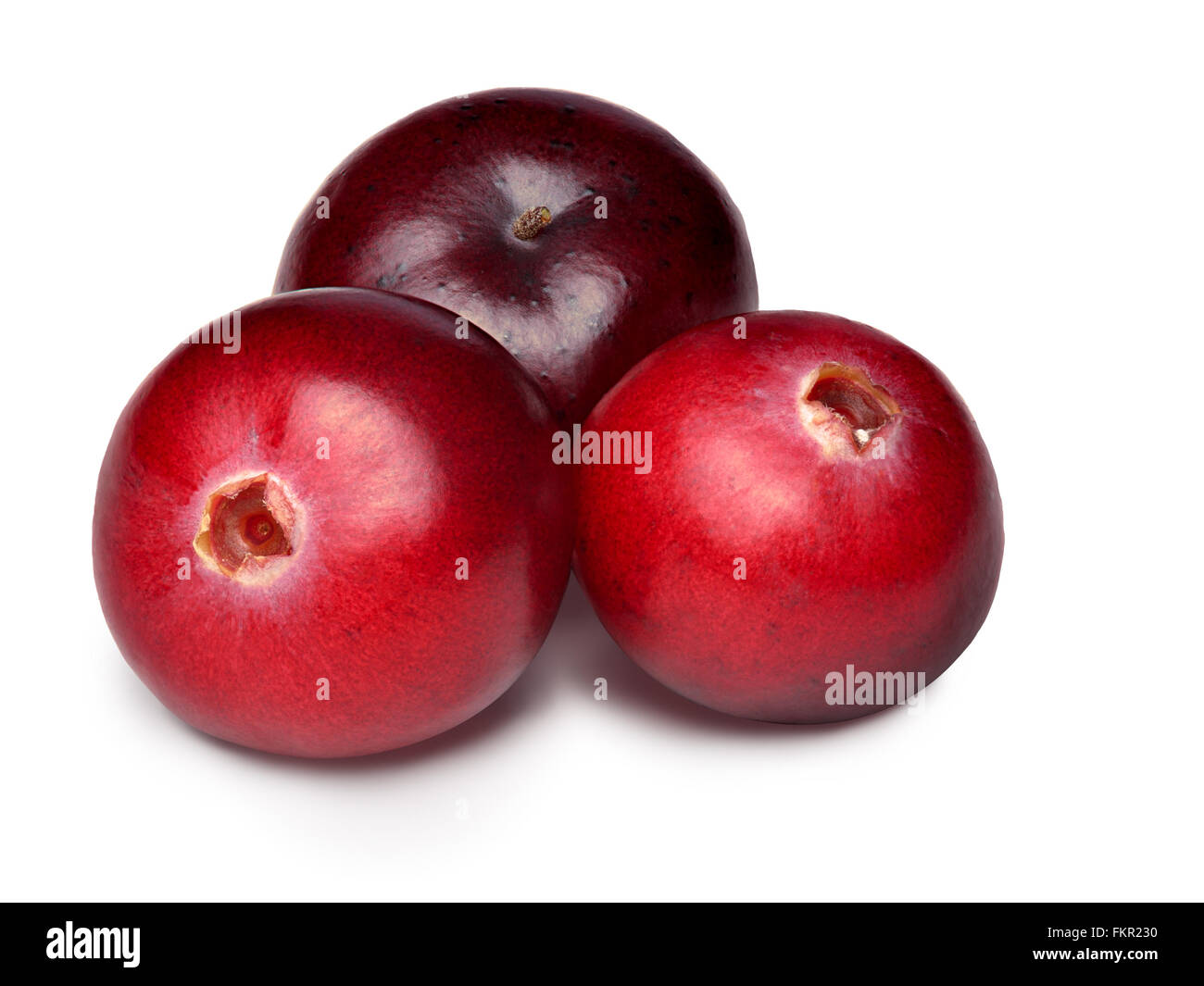 Three wild cranberries. Clipping paths, infinite depth of field ...