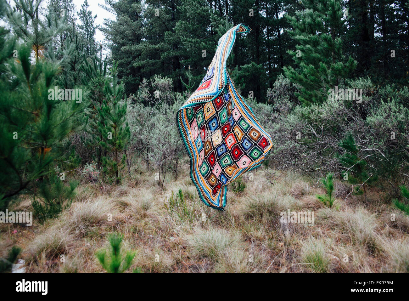 Falling forest hi-res stock photography and images - Alamy