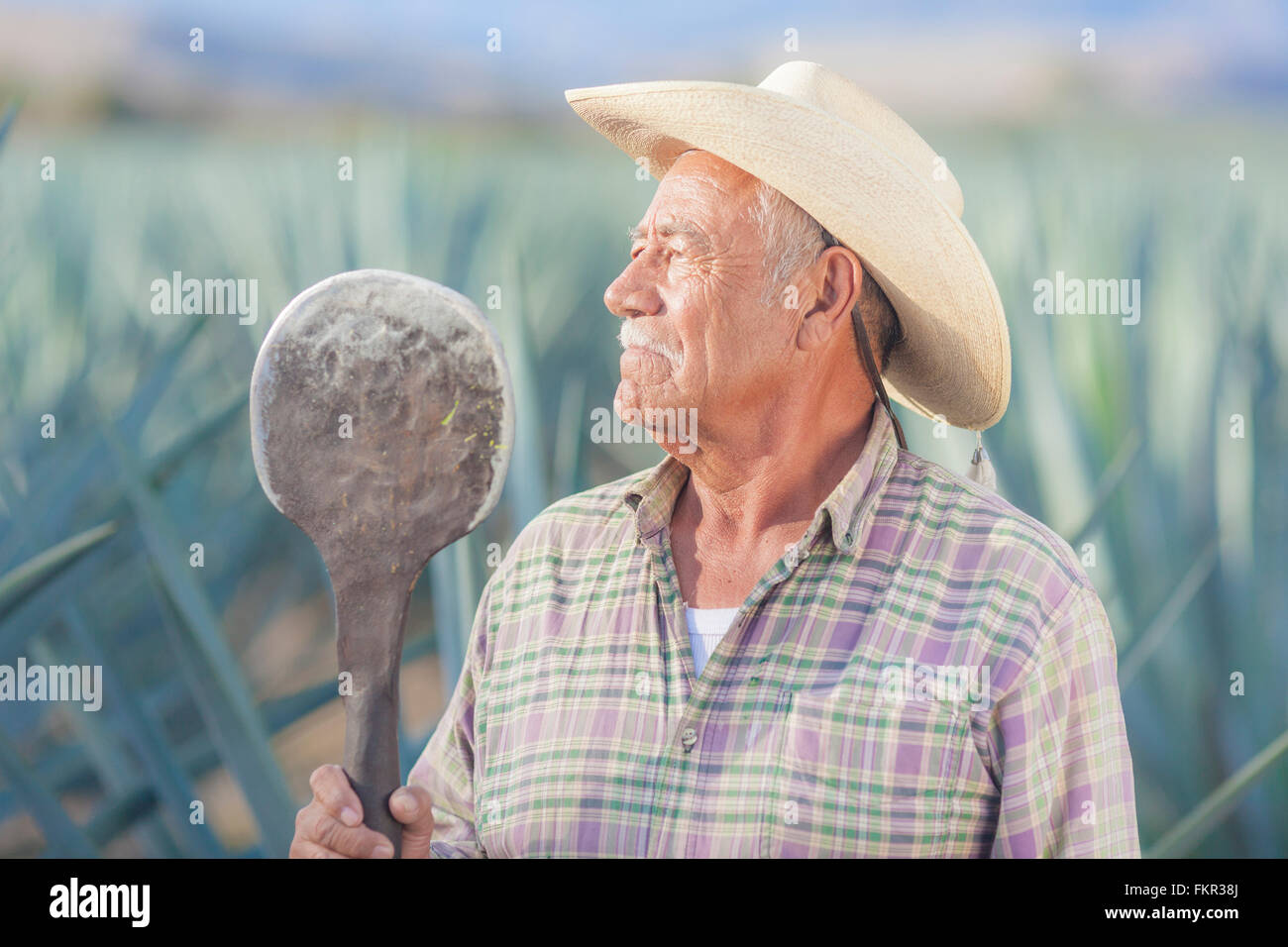 Older Hispanic farmer standing in field Stock Photo - Alamy