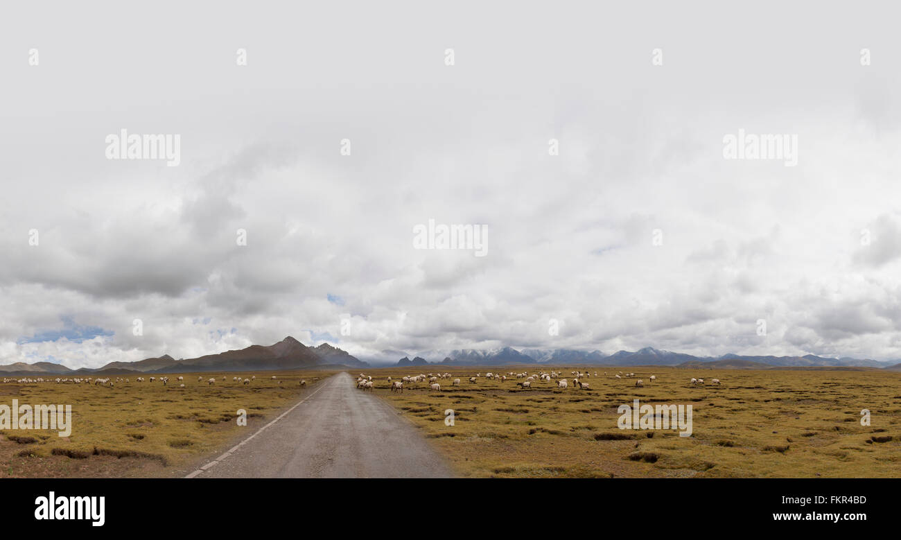 Empty road in remote landscape Stock Photo - Alamy