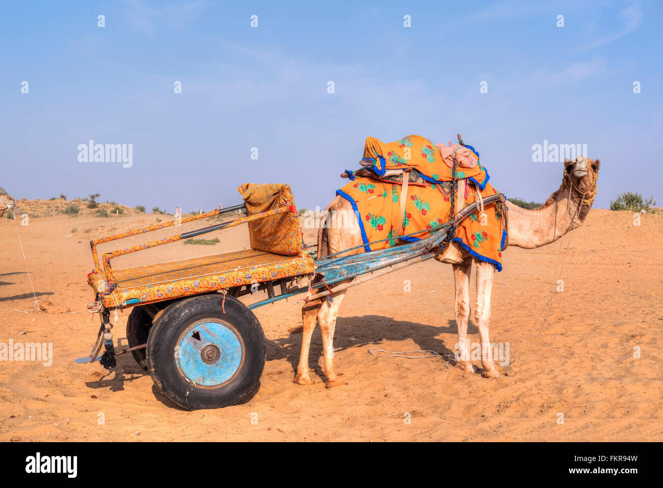 camel carriage in the Thar desert, Rajasthan, India Stock Photo - Alamy