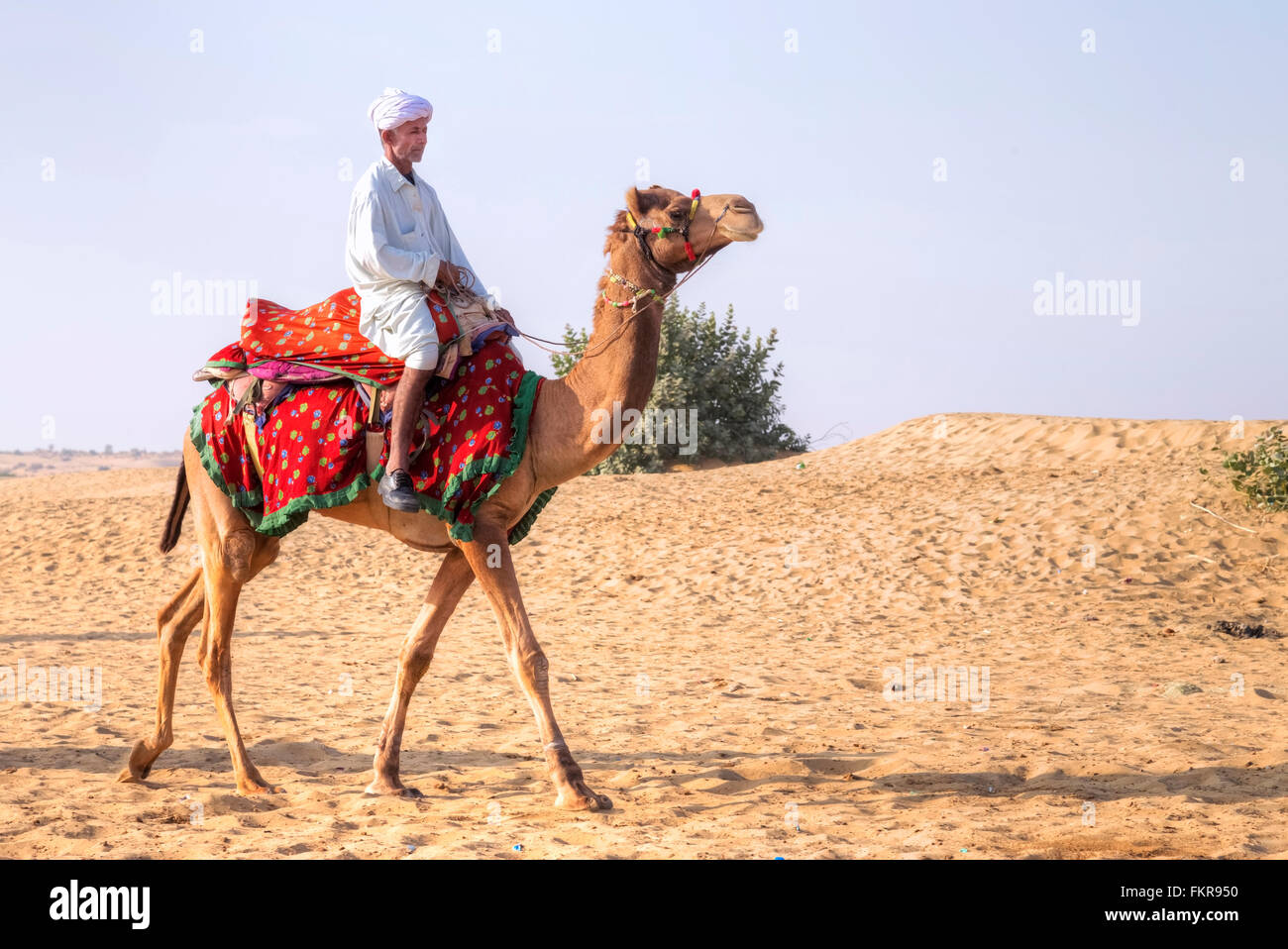 Nomad on a camel in the Thar desert, Rajasthan, India Stock Photo ...