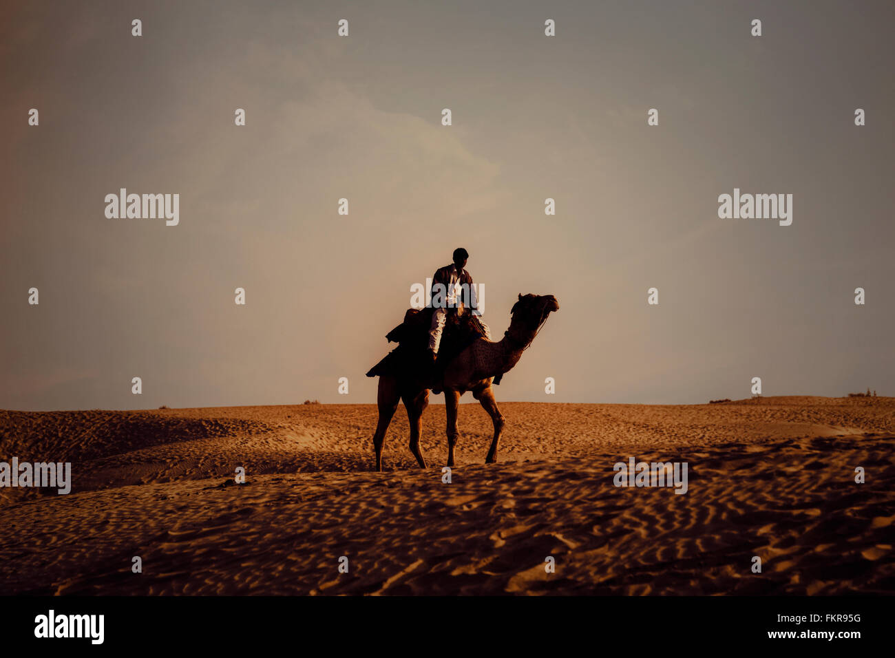 Nomad on a camel in the Thar desert, Rajasthan, India Stock Photo - Alamy